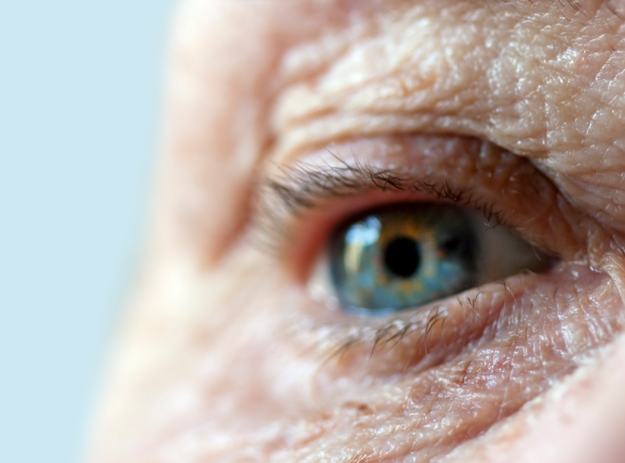 Eye facts for JulEYE | Seasons Seniors' Living Queensland